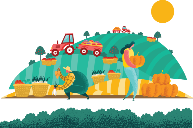 Alpha Farm Chuyên Cung Cấp Hoa Chậu, Giống Hoa Uy Tín Đà Lạt